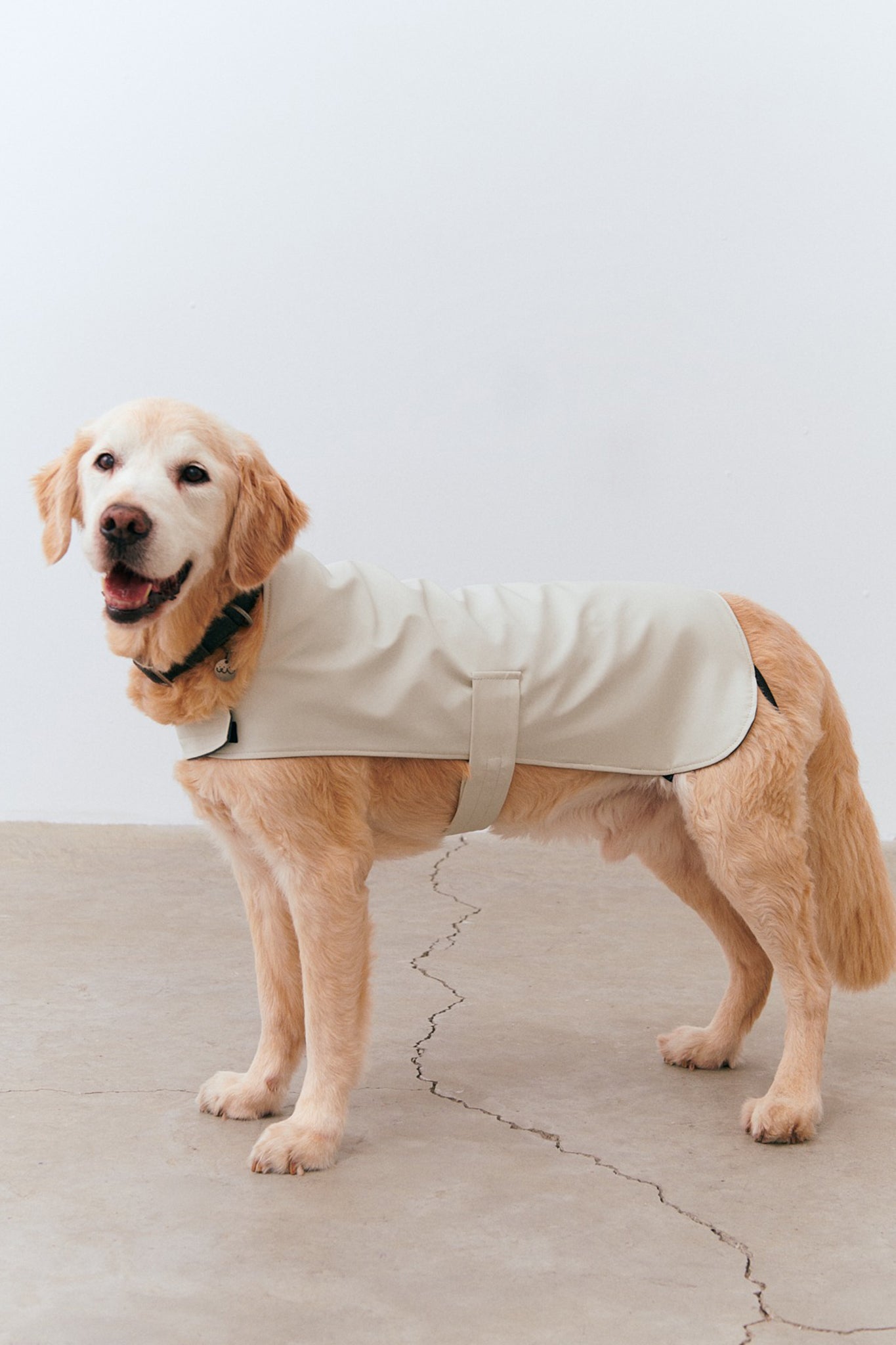 Strapped Raincoat - Snow White - Bruno Society